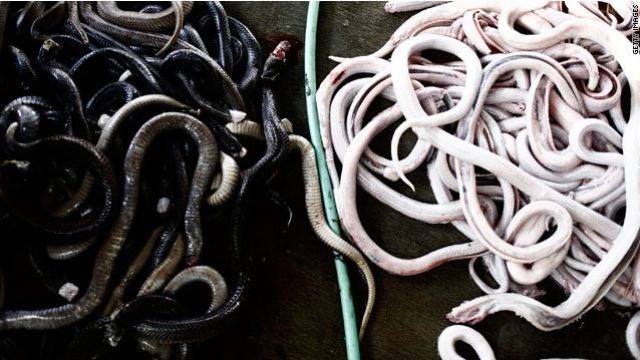 Snake Burgers | Amusing Planet